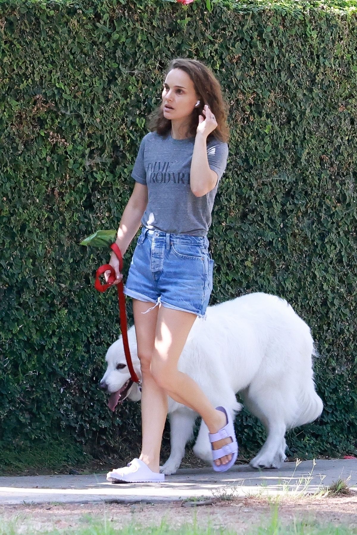 NATALIE PORTMAN Out with Her Dog in Los Feliz 08/29/2022 – HawtCelebs