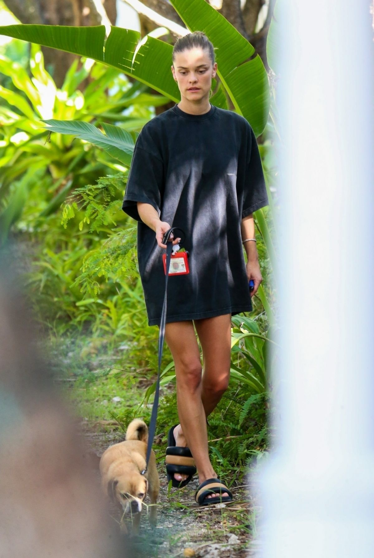 NINA AGDAL Out with Her Dog in Miami Beach 10/25/2022 – HawtCelebs