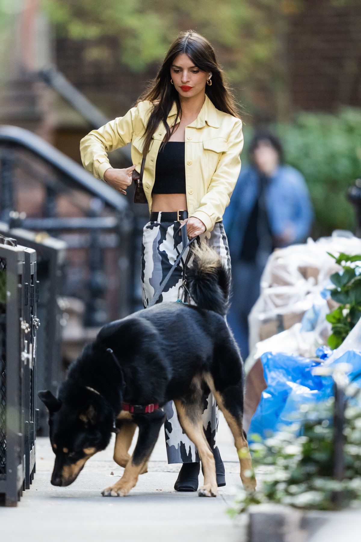 EMILY RATAJKOWSKI Out with Her Dog in New York 11/01/2022 – HawtCelebs