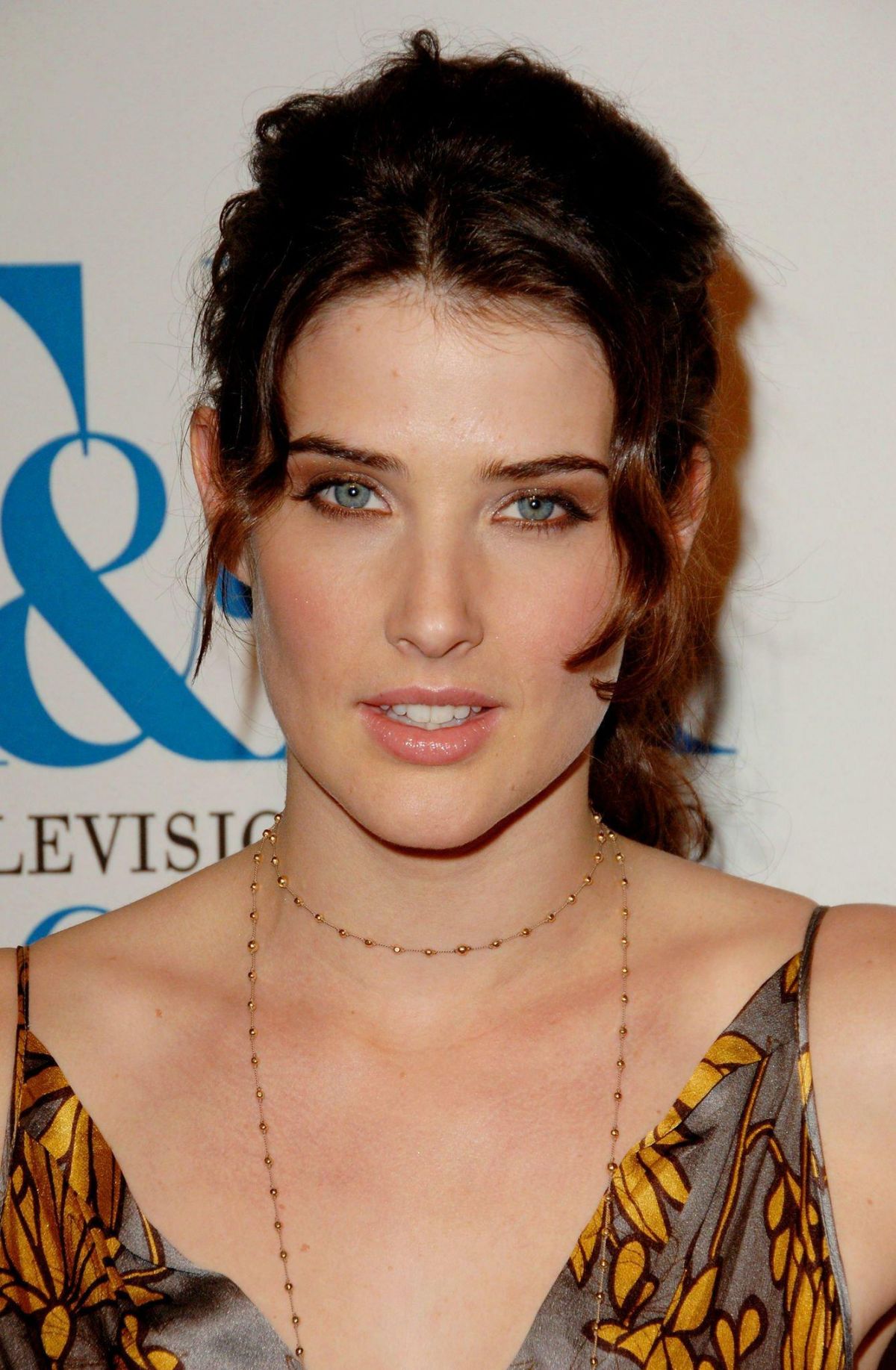 Cobie Smulders 2006