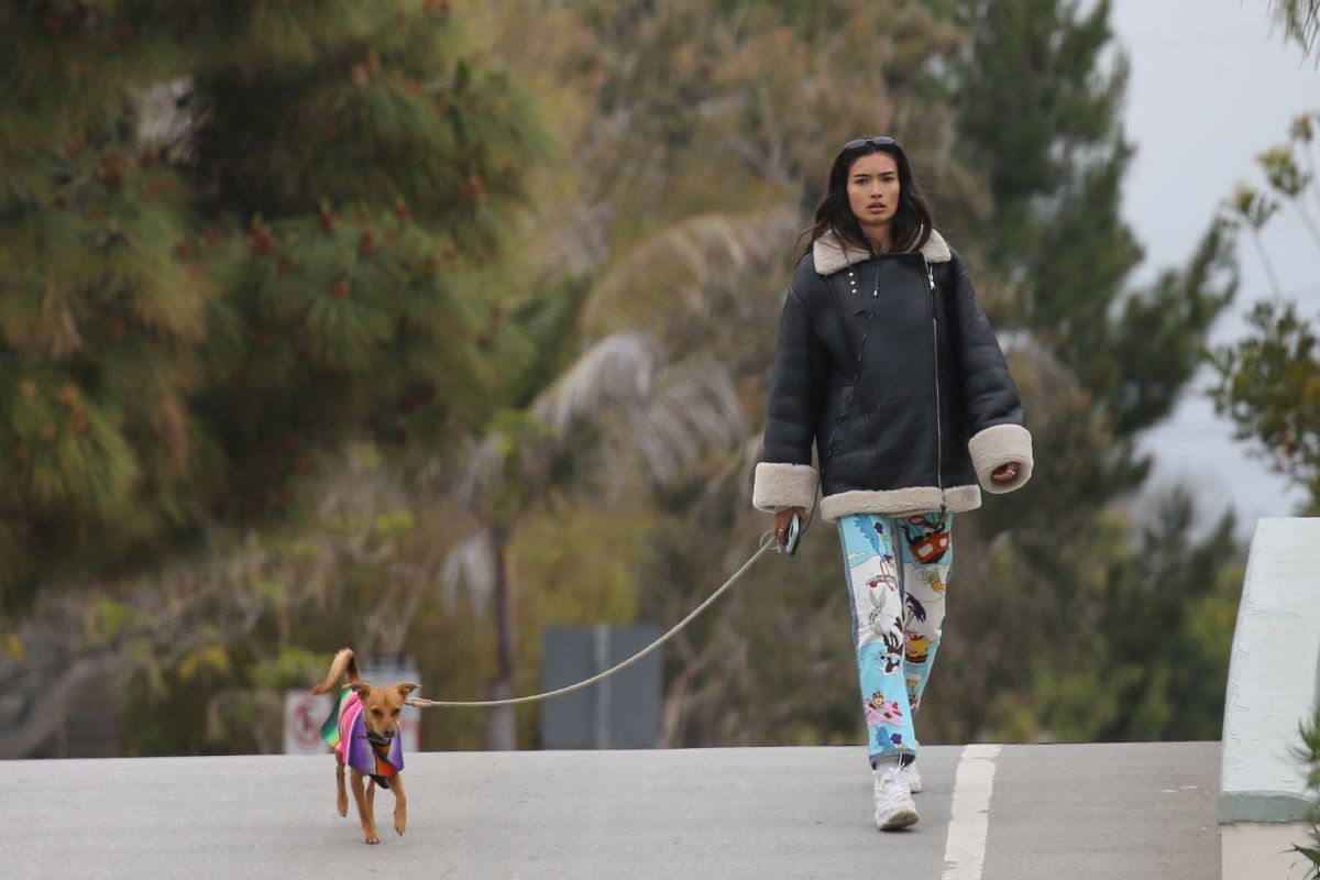 KELLY GALE Out with Her Dog for a Morning Stroll in Venice Beach 04/17 ...