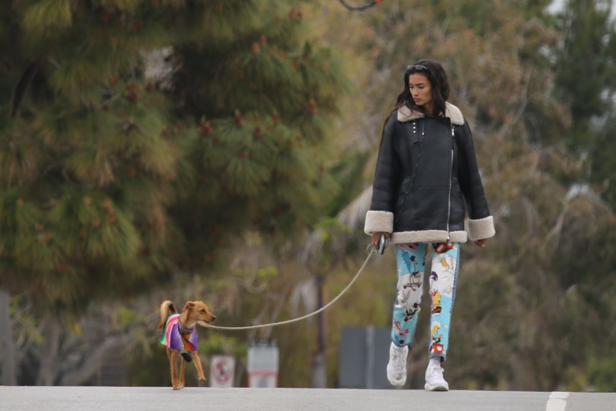 KELLY GALE Out with Her Dog for a Morning Stroll in Venice Beach 04/17 ...