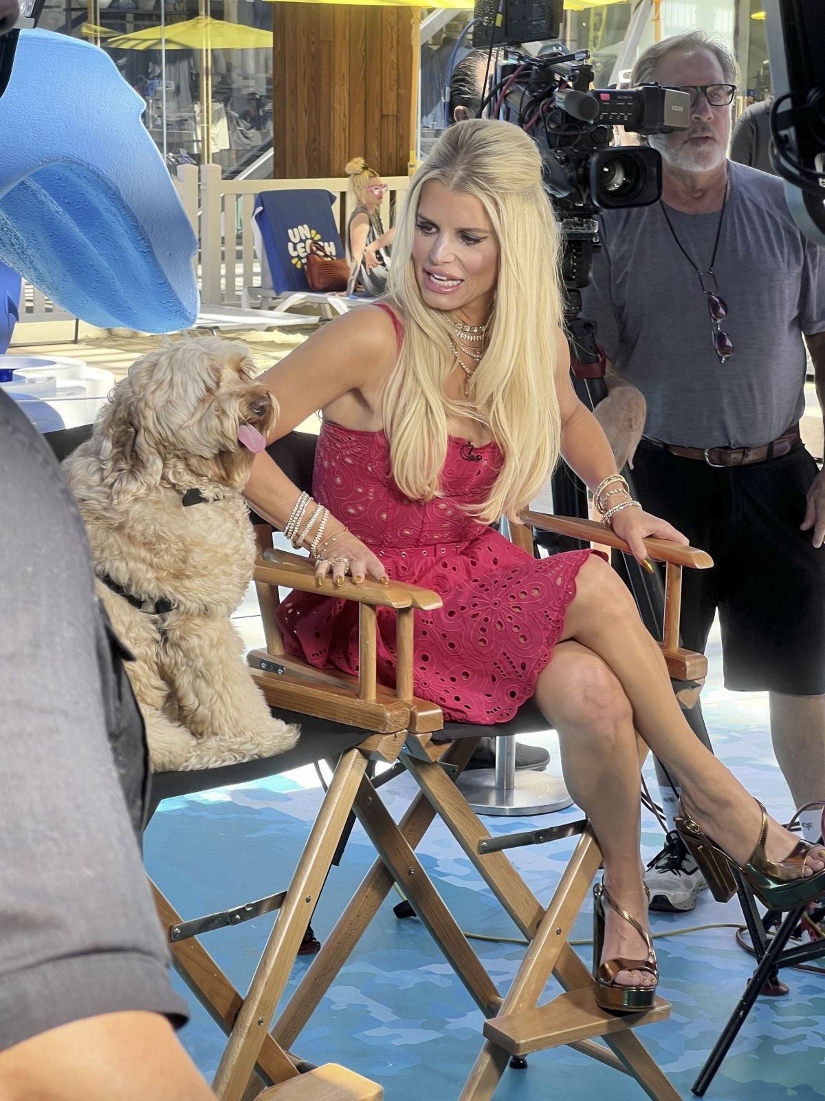 JESSICA SIMPSON Arrives at a Petsafe Event in Beverly Hills 08/25/2023 ...