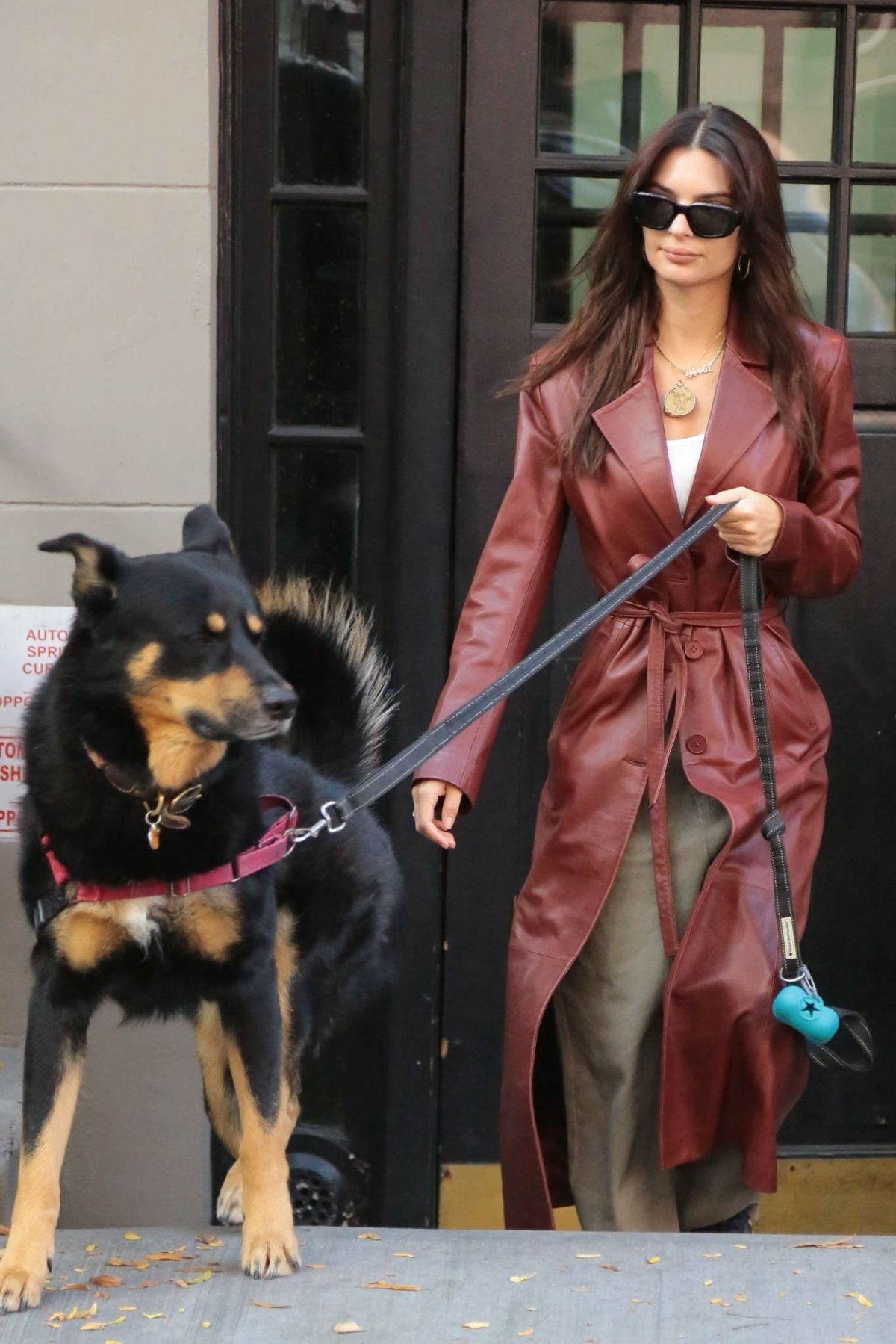 EMILY RATAJKOWSKI Out with Her Dog in New York 10/22/2023 – HawtCelebs