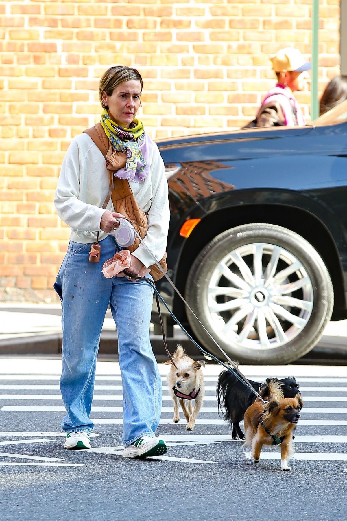 SARAH PAULSON Out with Her Dogs in New York 10/13/2023 – HawtCelebs