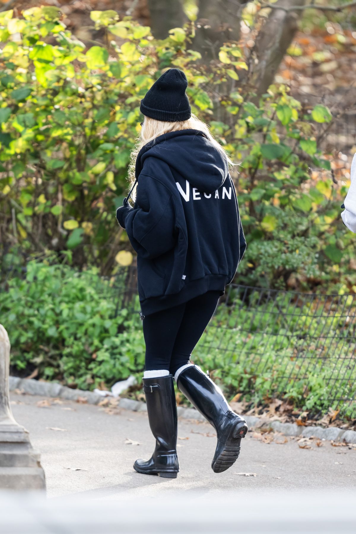 PAMELA ANDERSON Out with a Friend in Central Park in New York 11/04 ...