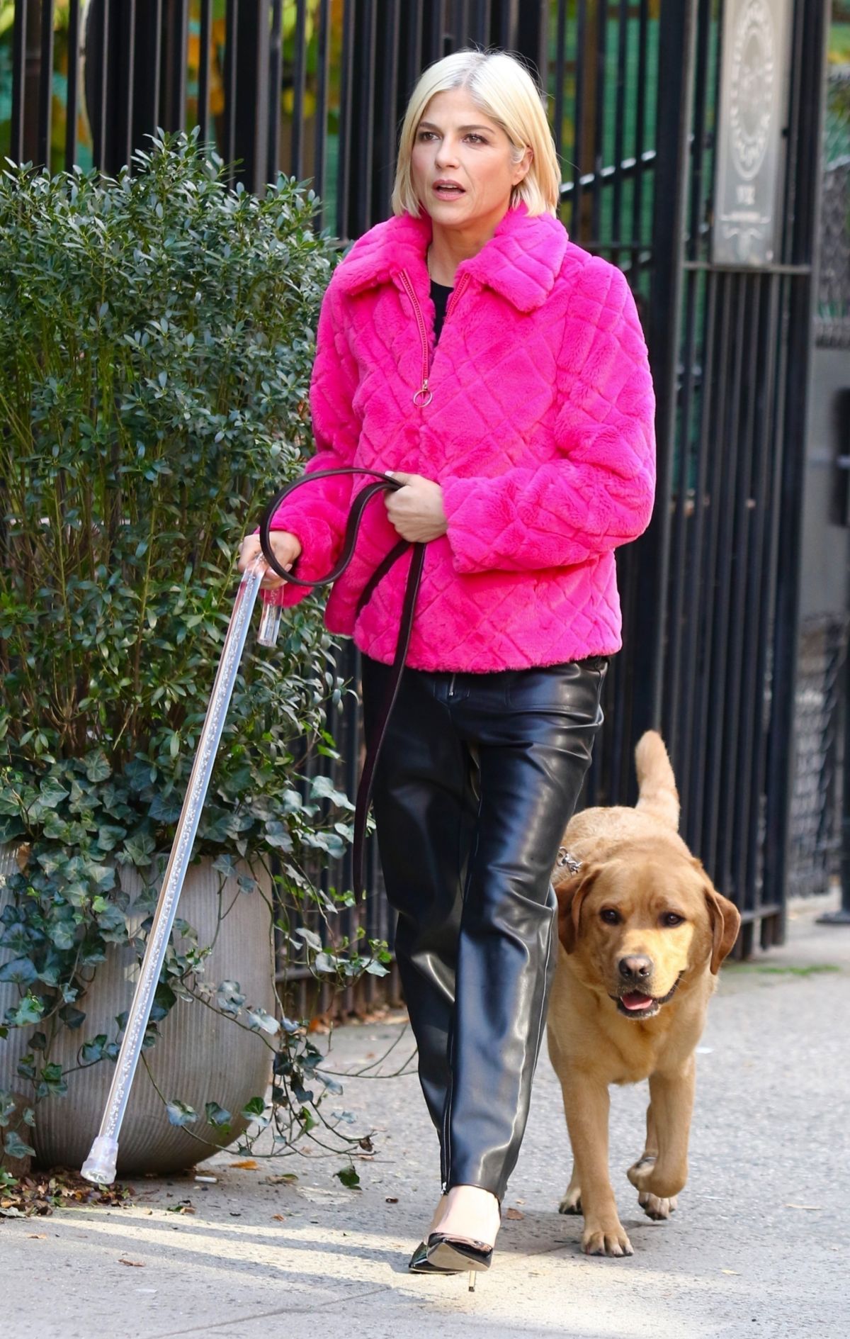 SELMA BLAIR Out with Her Dog Scout in New York 11/05/2023 – HawtCelebs