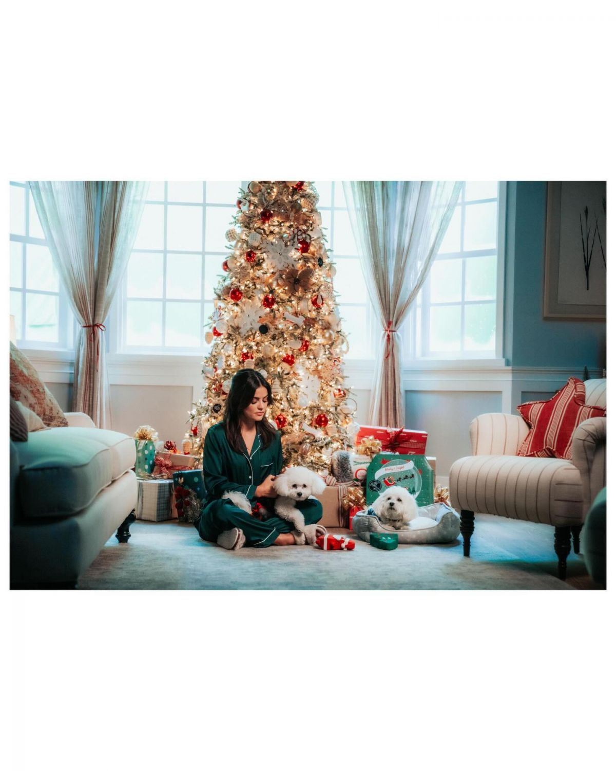 LUCY HALE – PetSmart Holiday 2023 Campaign – HawtCelebs