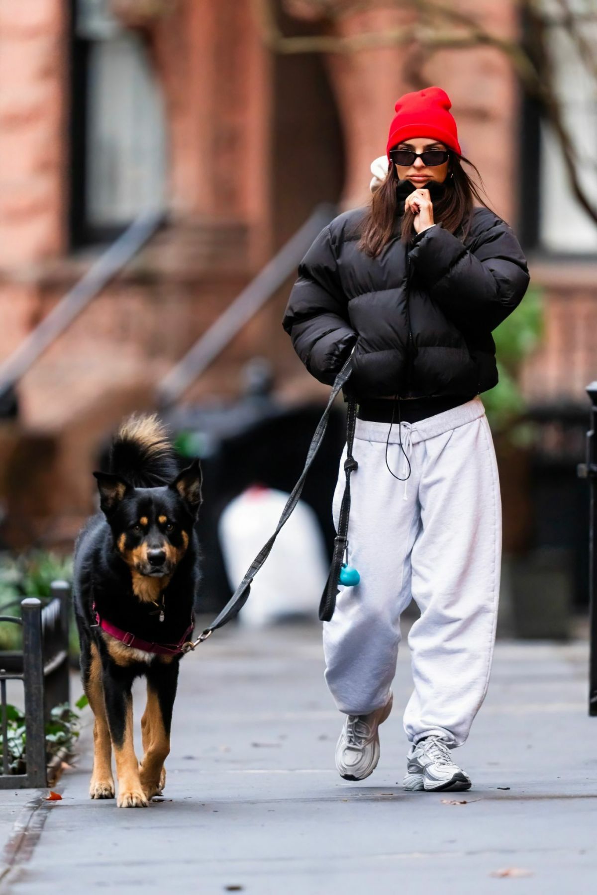 EMILY RATAJKOWSKI Out with Her Dog in New York 01/07/2024 – HawtCelebs