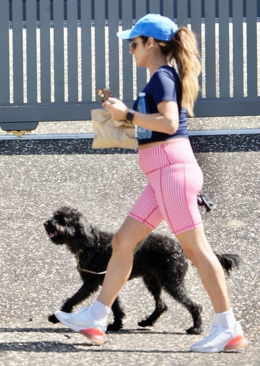 Pregnant KERRY KNIGHT Out with Her Dog in Brisbane 01/26/2024 – HawtCelebs