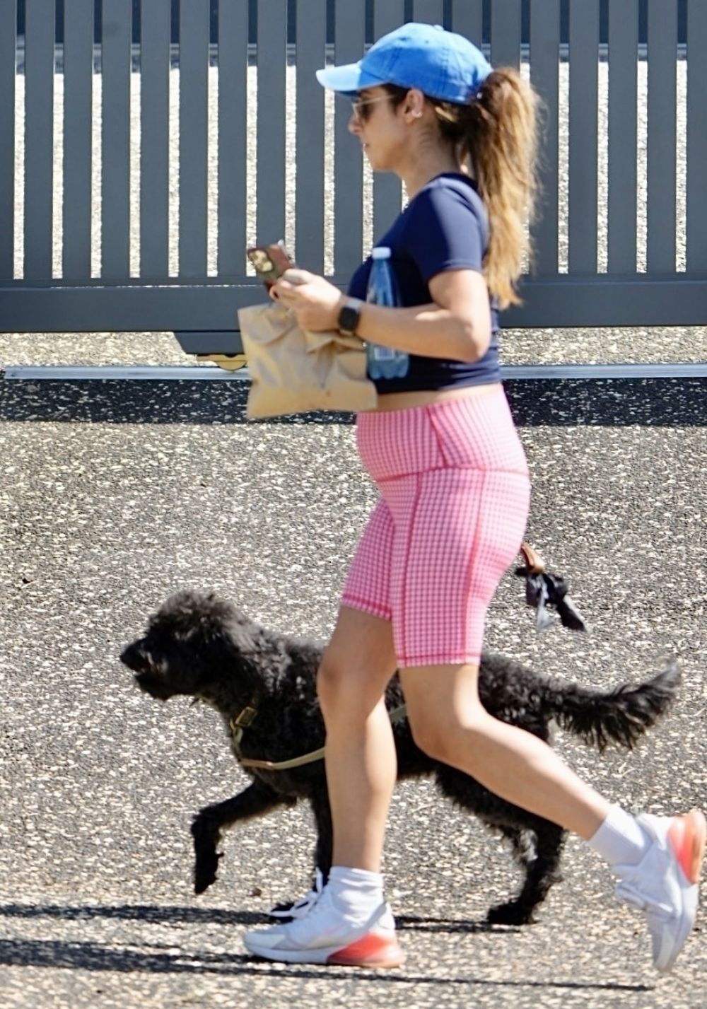 Pregnant KERRY KNIGHT Out with Her Dog in Brisbane 01/26/2024 – HawtCelebs