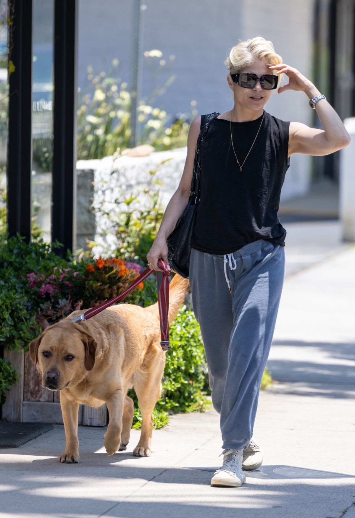 SELMA BLAIR Out with Her Dog in Studio City 06/13/2024 – HawtCelebs