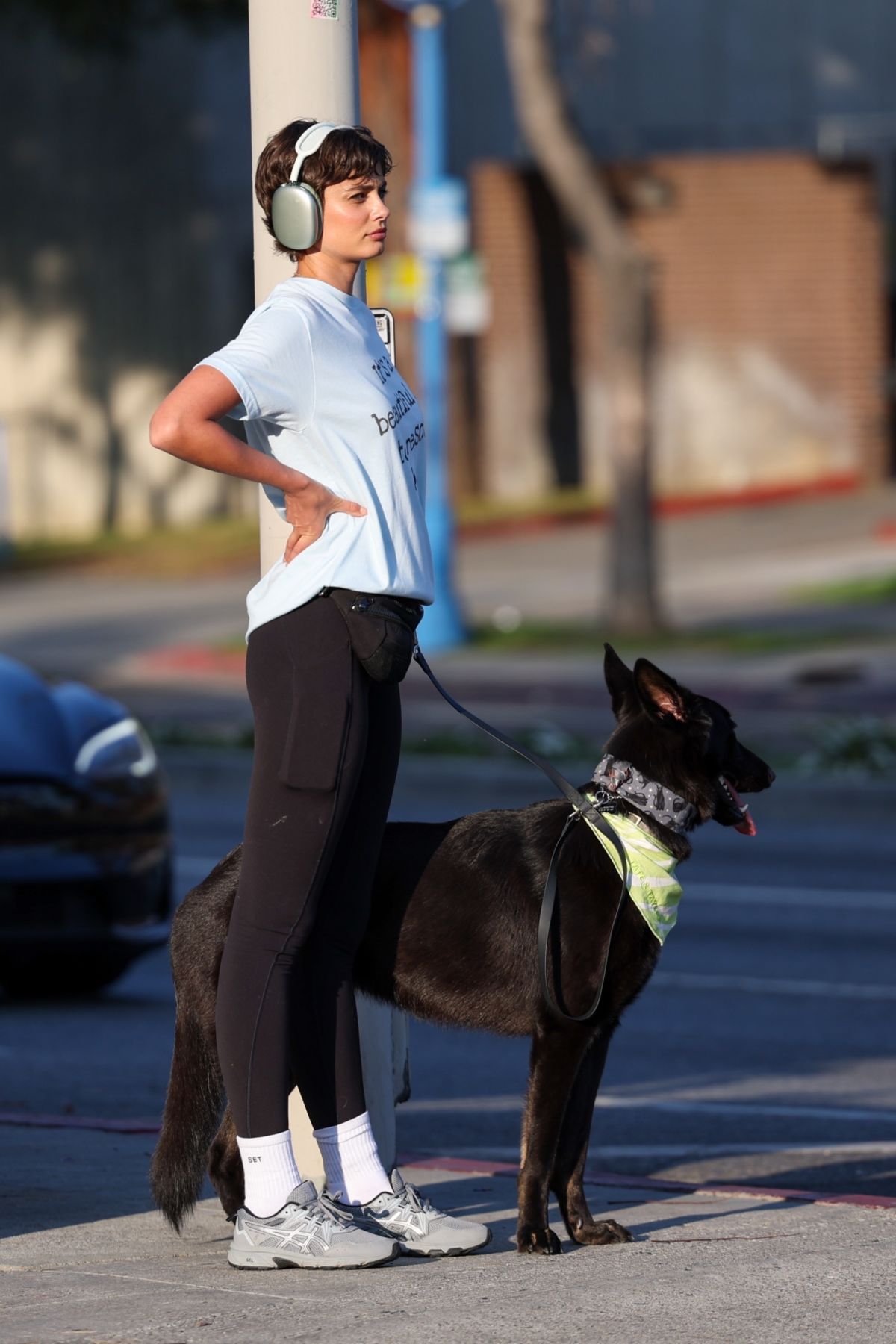 TAYLOR HILL Out with Her German Shepherd in West Hollywood 05/29/2024 ...