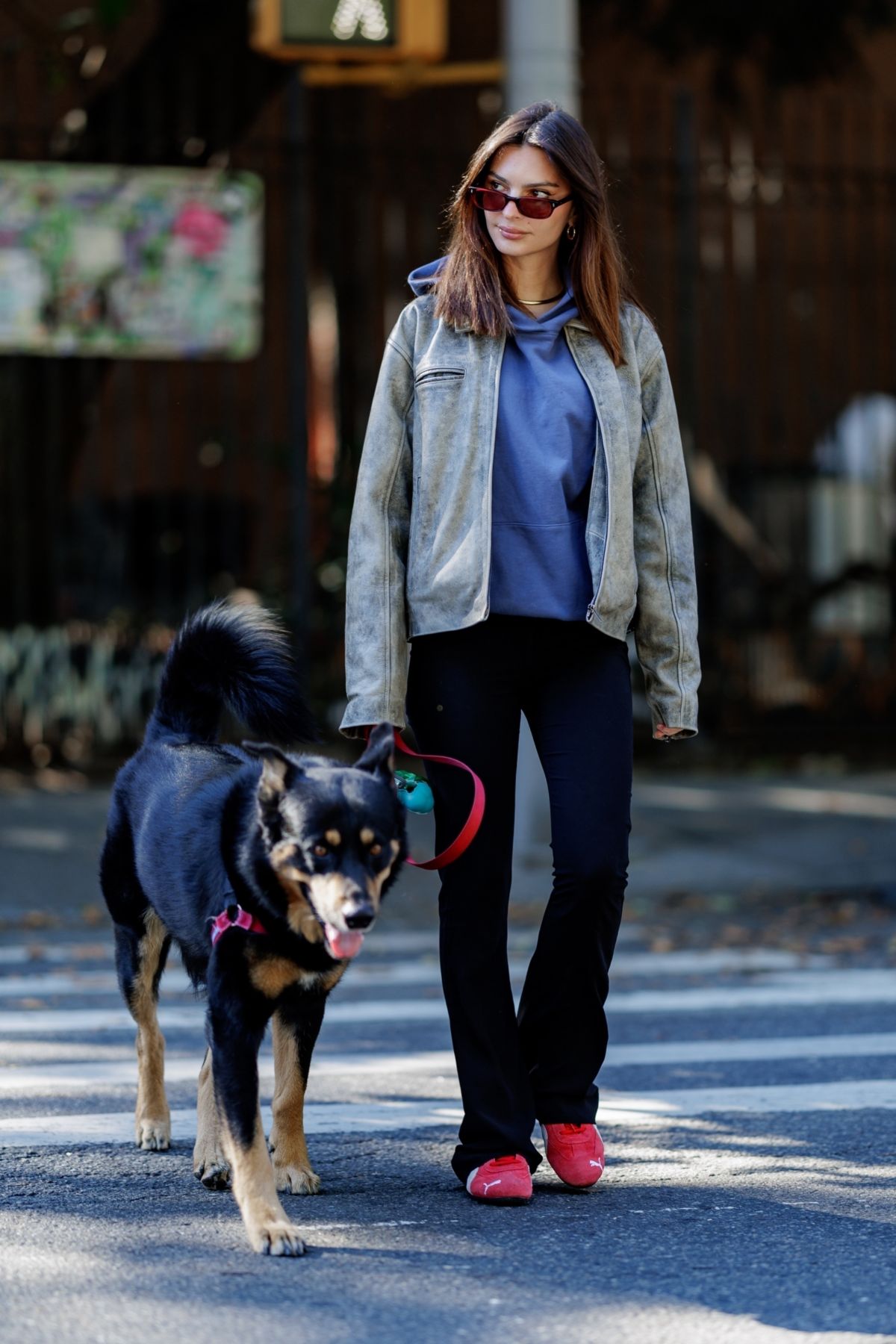 EMILY RATAJKOWSKI Out with Her Dog in Brooklyn 10/15/2024 – HawtCelebs