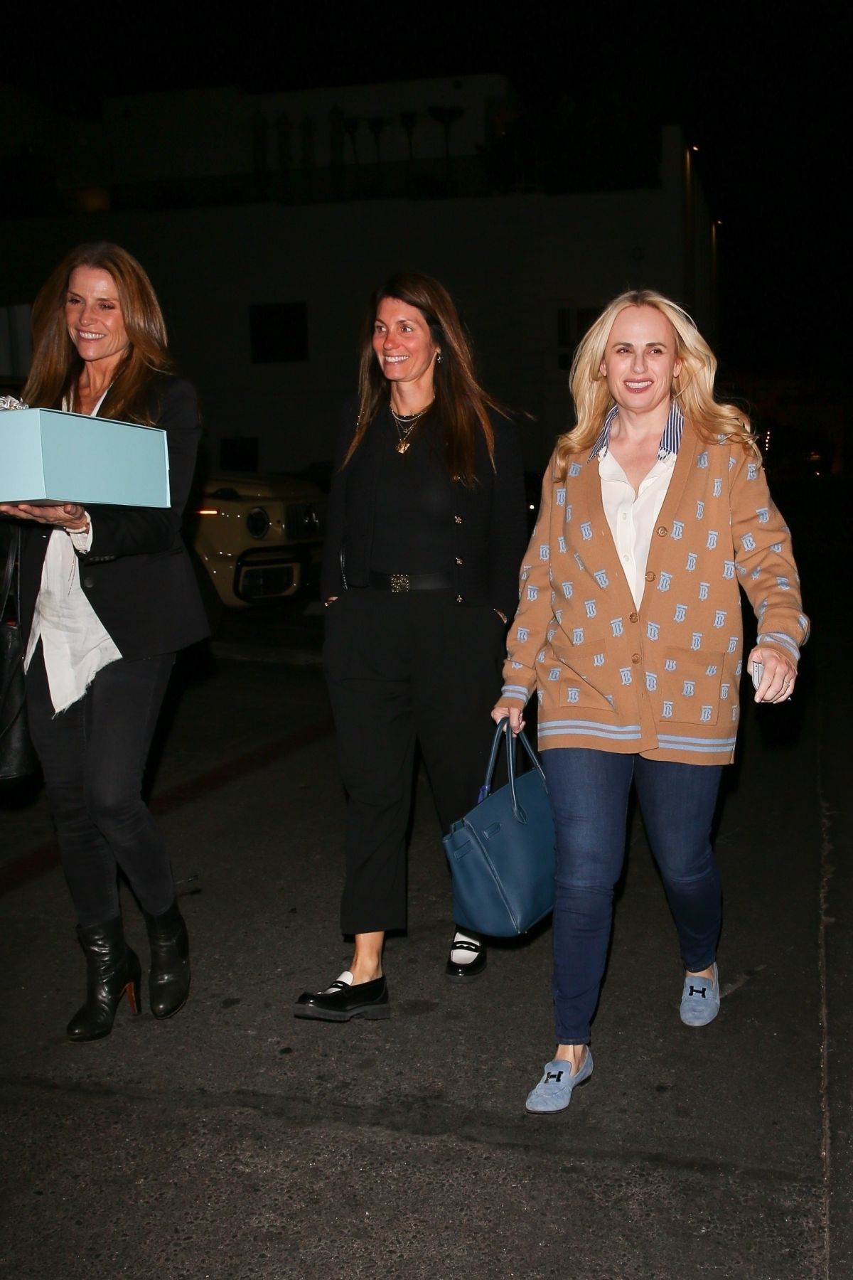REBEL WILSON and GINA MATTHEWS Leaves Dinner with Friend at Funke ...