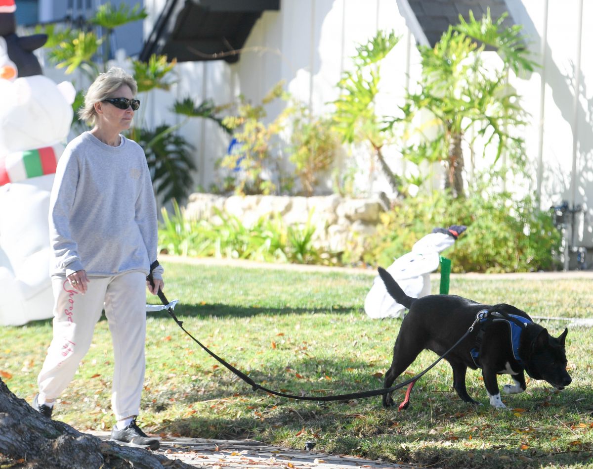 DEE WALLACE Out with Her Dog in Los Angeles 12/26/2024 – HawtCelebs