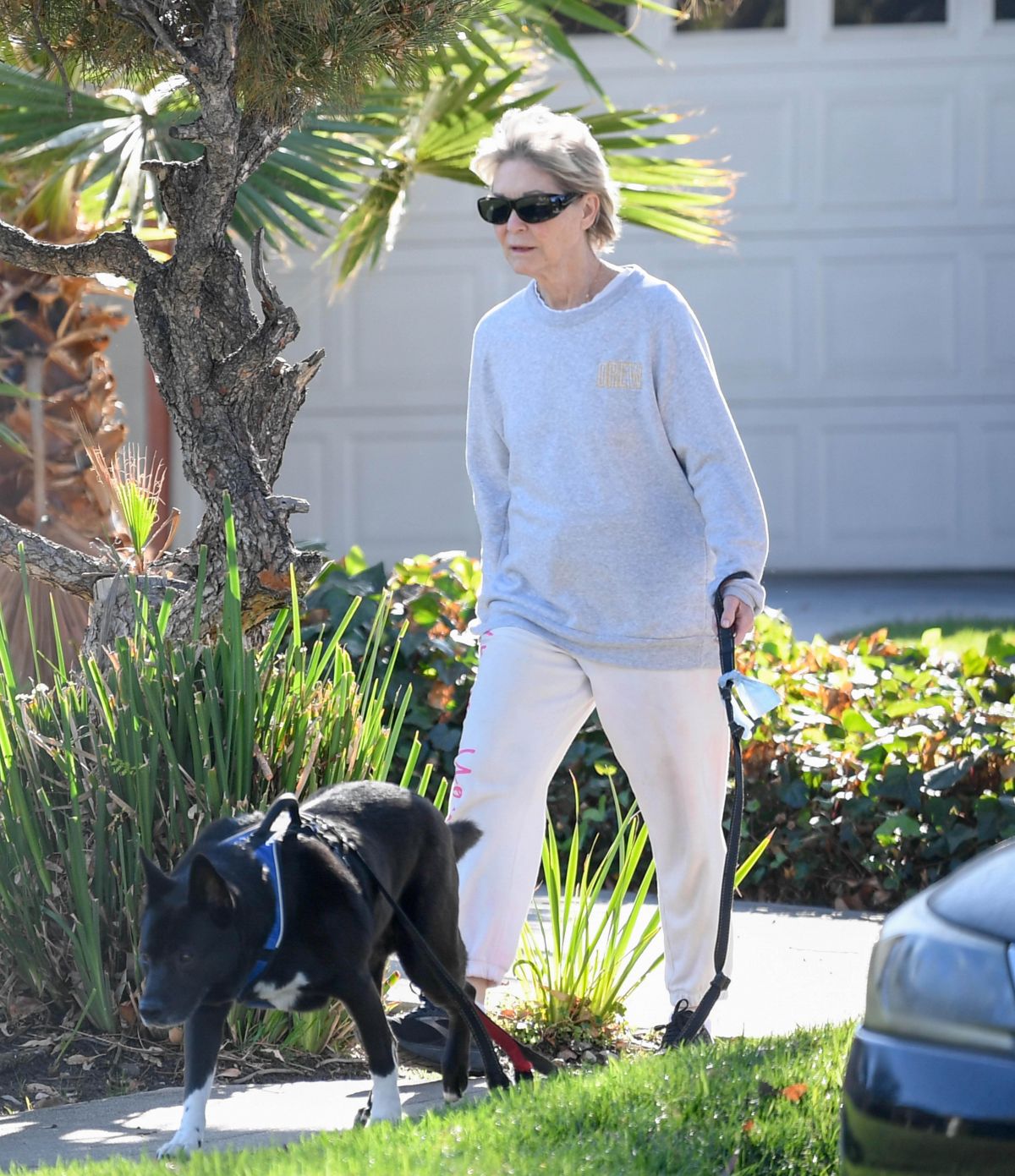 DEE WALLACE Out with Her Dog in Los Angeles 12/26/2024 – HawtCelebs