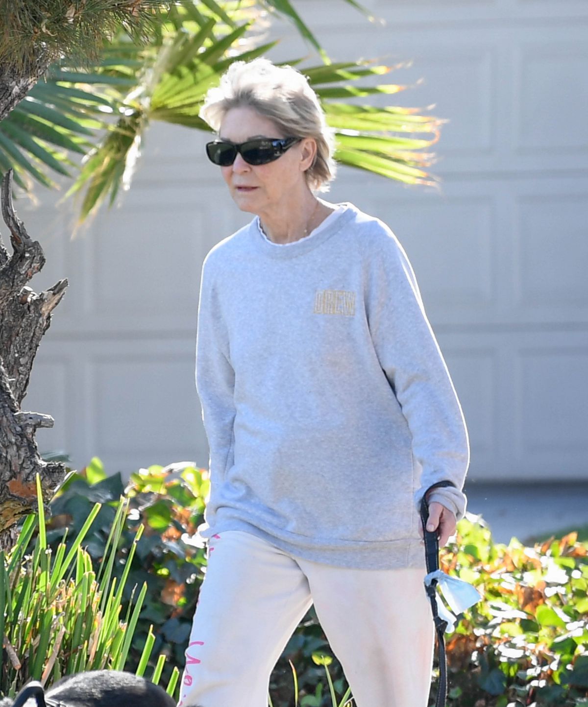 DEE WALLACE Out with Her Dog in Los Angeles 12/26/2024 – HawtCelebs