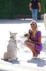 EMMA HERNAN Takes Her Dogs for a Walk Outside Oppenheim Group Office in ...