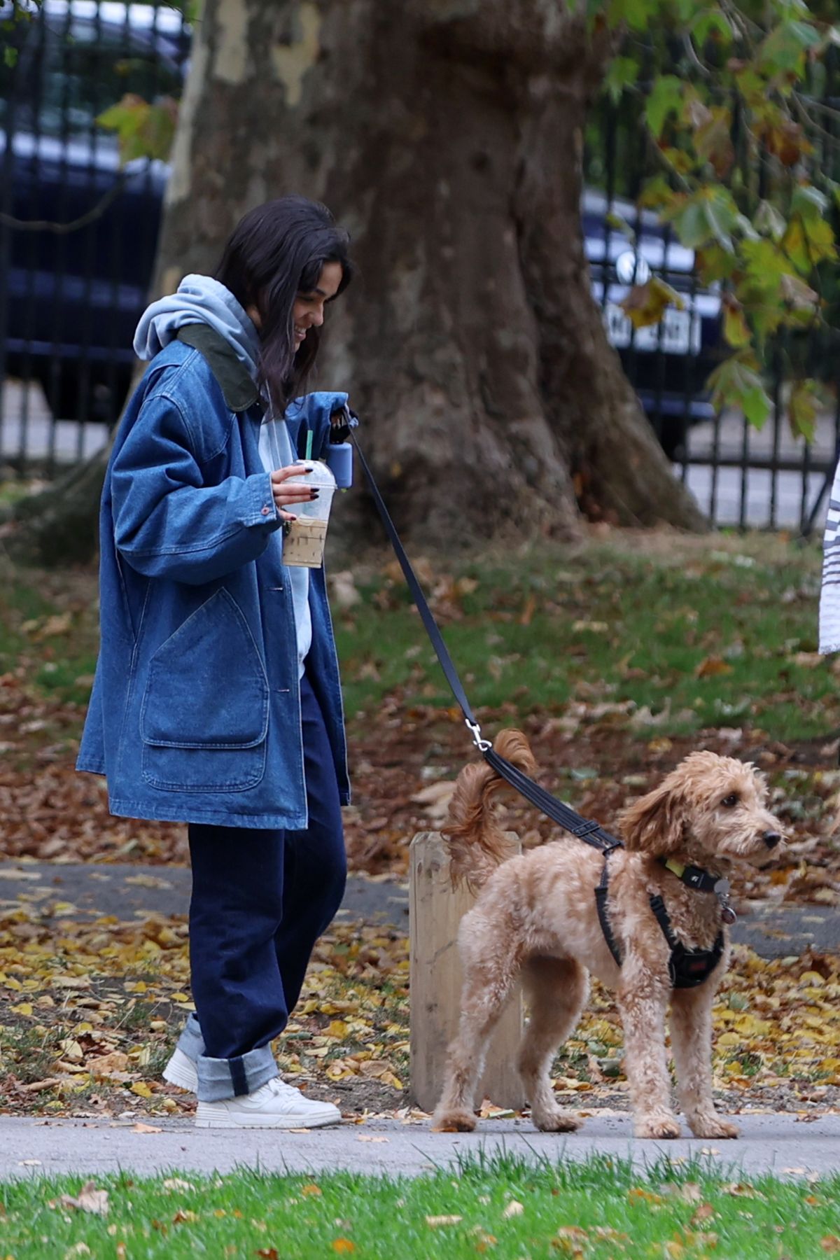 RACHEL ZEGLER Walks Her Dog Out in London 10/08/2025 – HawtCelebs