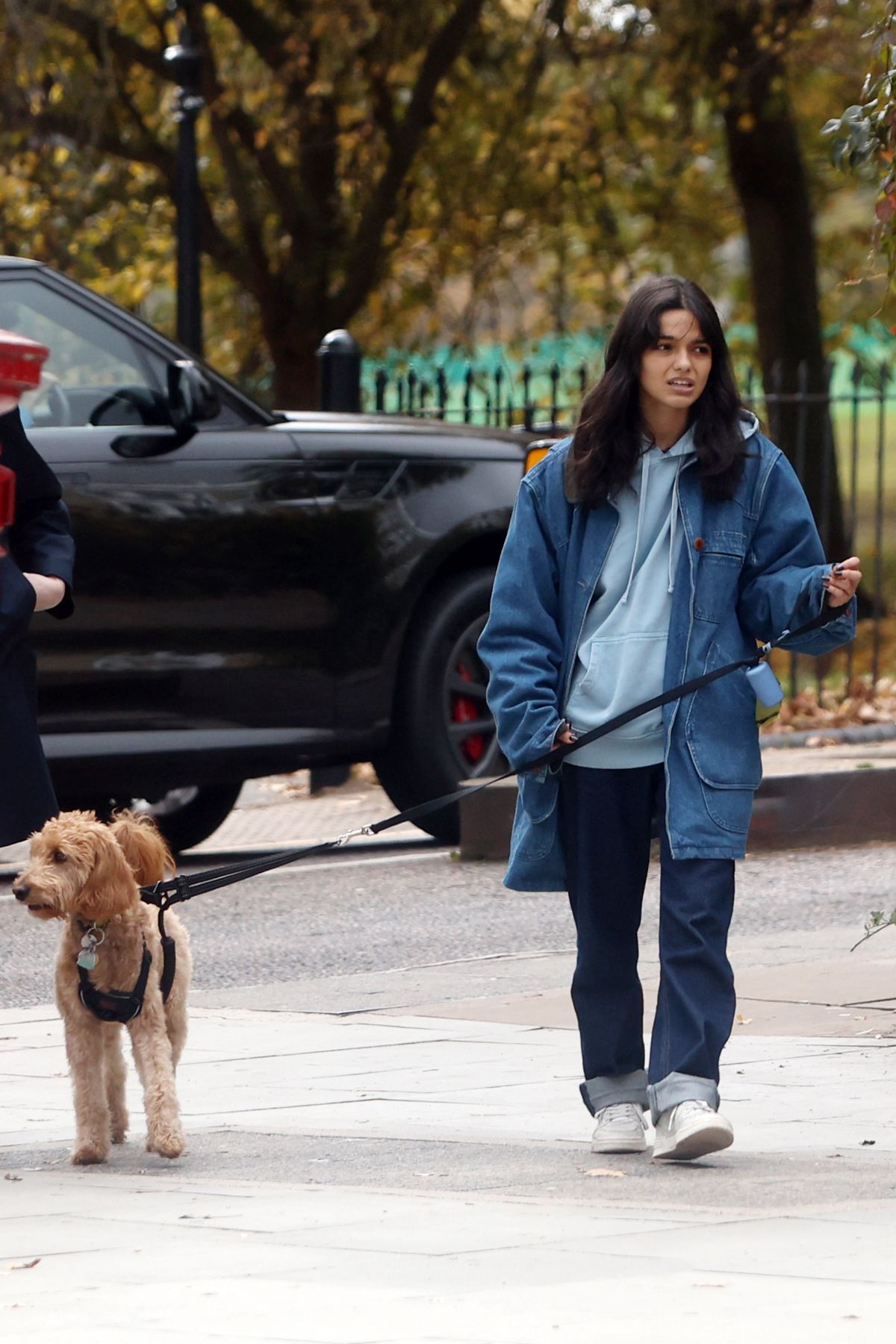 RACHEL ZEGLER Walks Her Dog Out in London 10/08/2025 – HawtCelebs