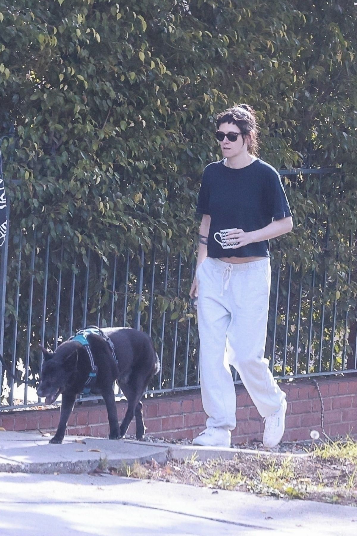 KRISTEN STEWART and DYLAN MEYER Out with Their Dog in Los Feliz 12/22 ...